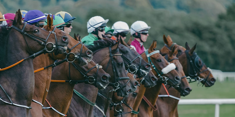 Luxury Train Journeys UK | UK Luxury Trains